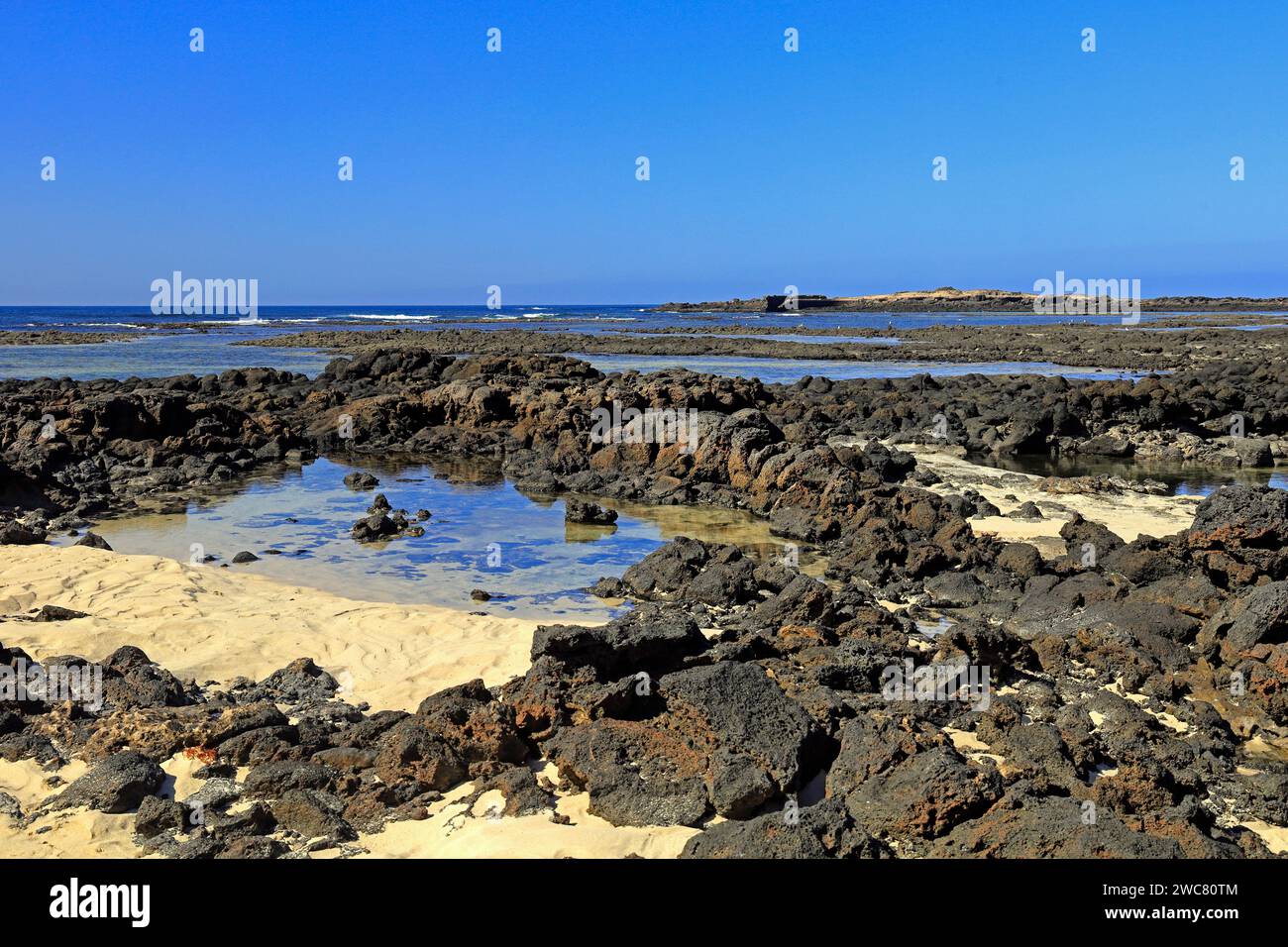 Atlantic tidal rock pools near El Cotillo, Fuerteventura, November 2023 ...