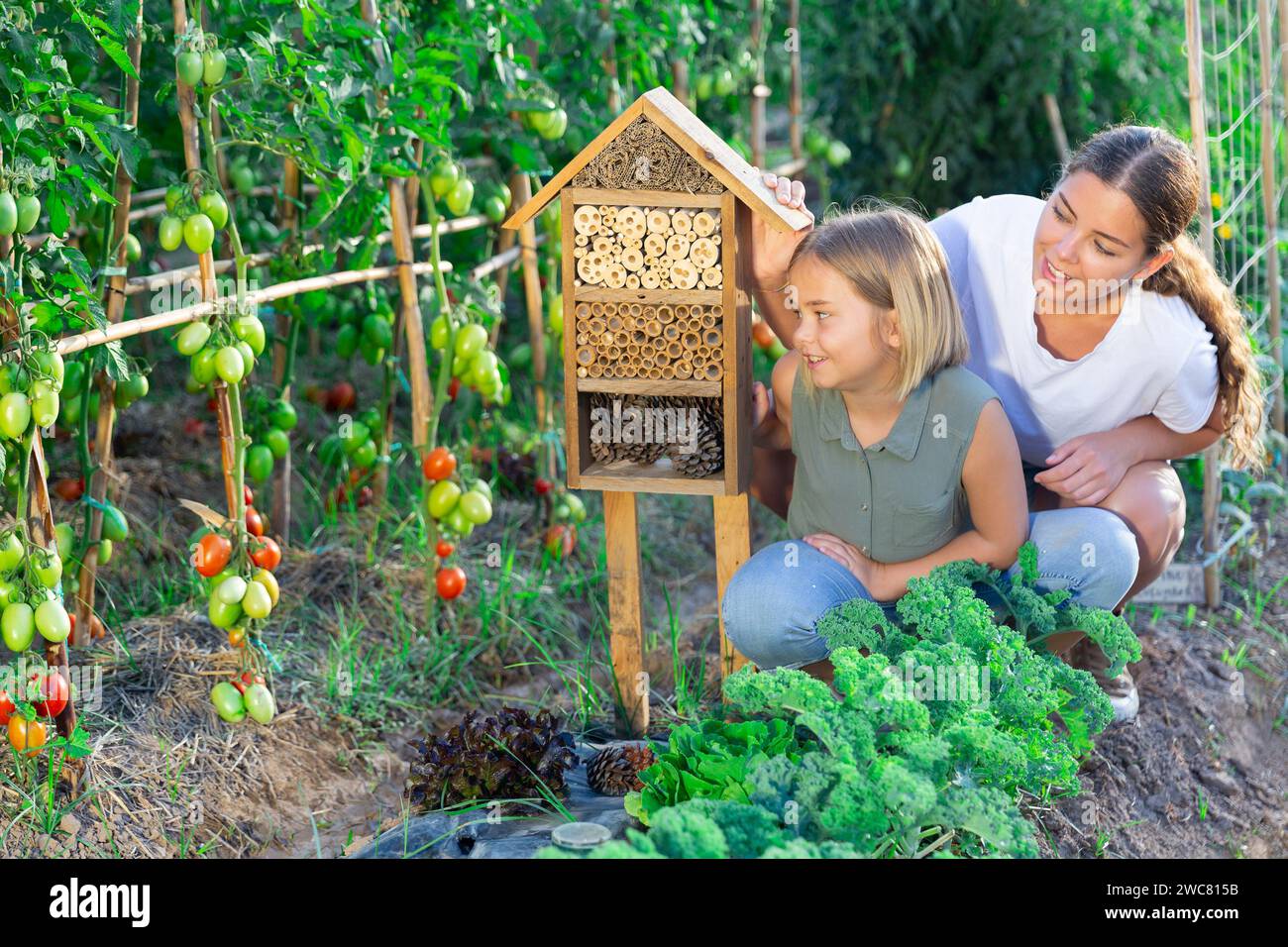 Mom shows her little daughter an insect hotel in form of birdhouse ...