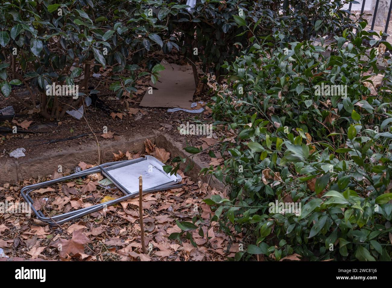 Barcelona, Spain. 14th Jan, 2024. A natural vegetal cave with cardboard ...