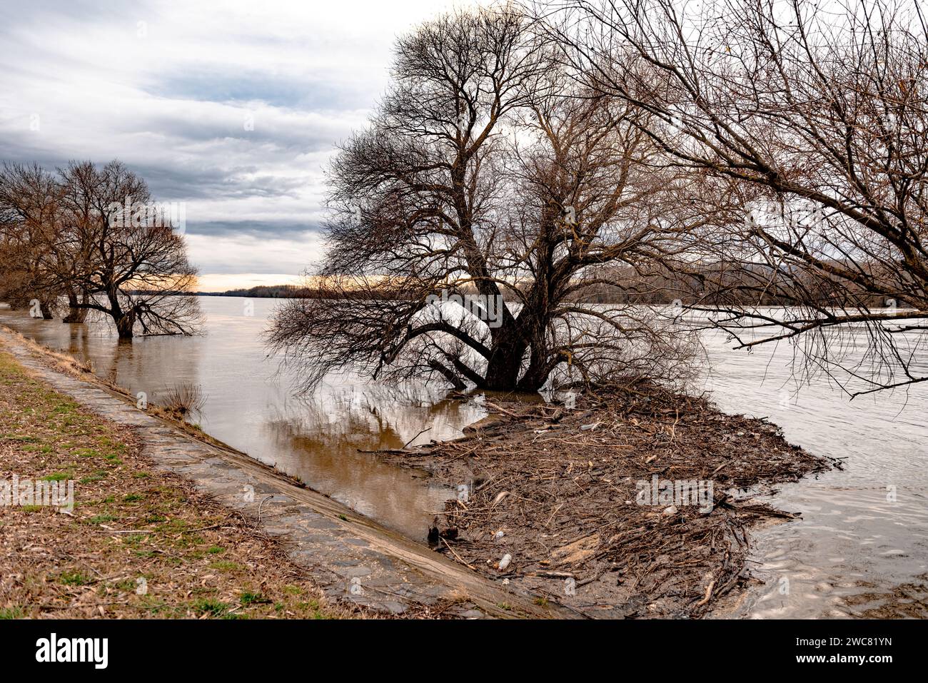 Plastic waste, solid waste, wood chips in the river, canal, along the ...