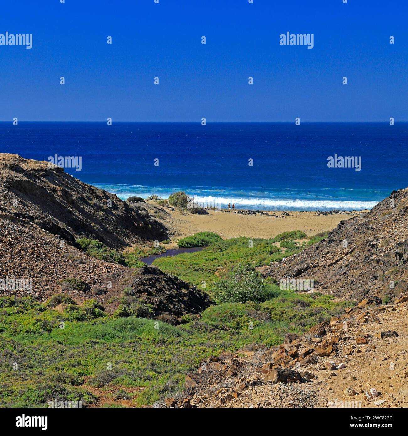 Looking down a small, green valley towards the sea and horizon at ...