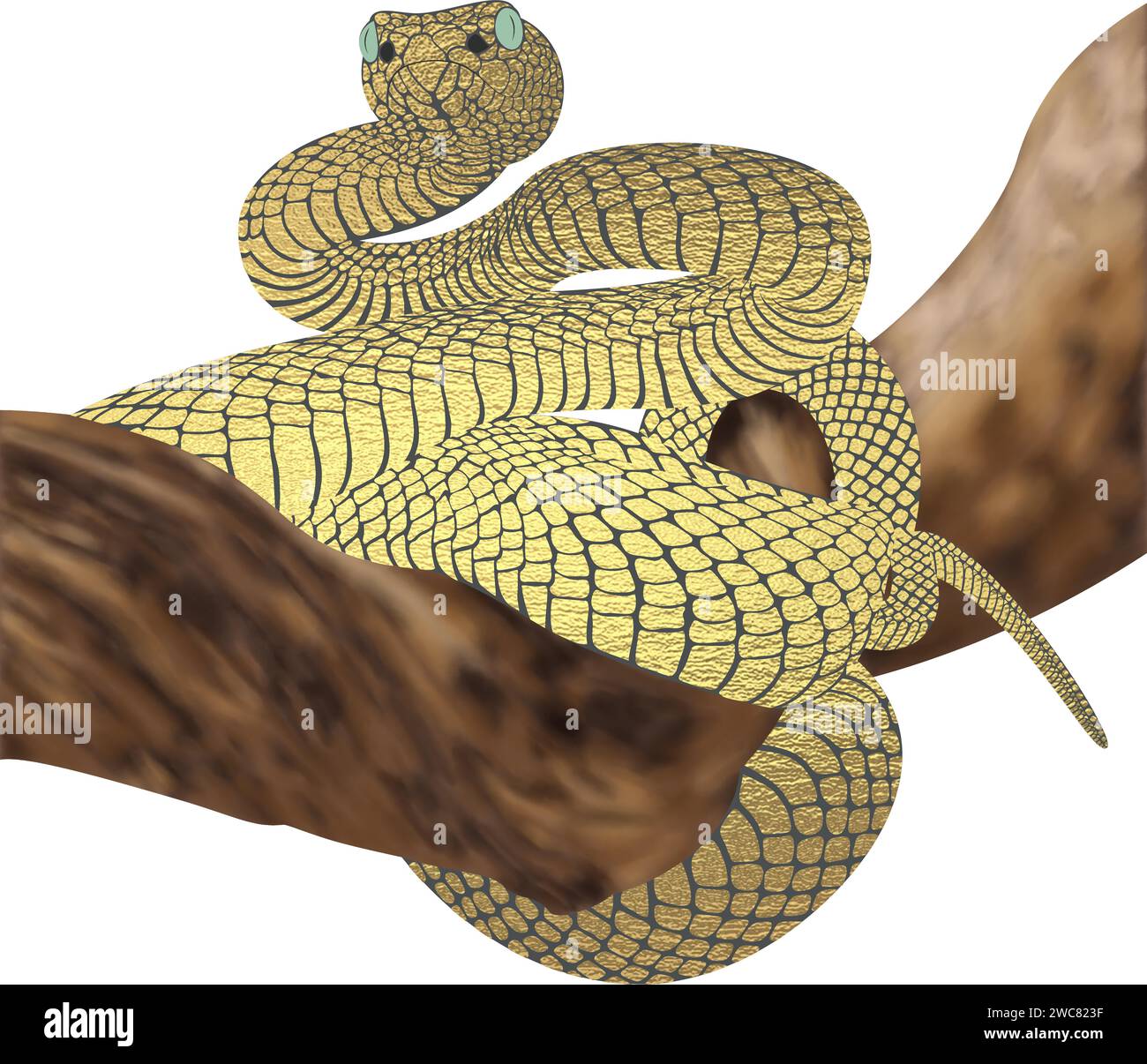 Dangerous wild snake in Stock Vector Images - Alamy
