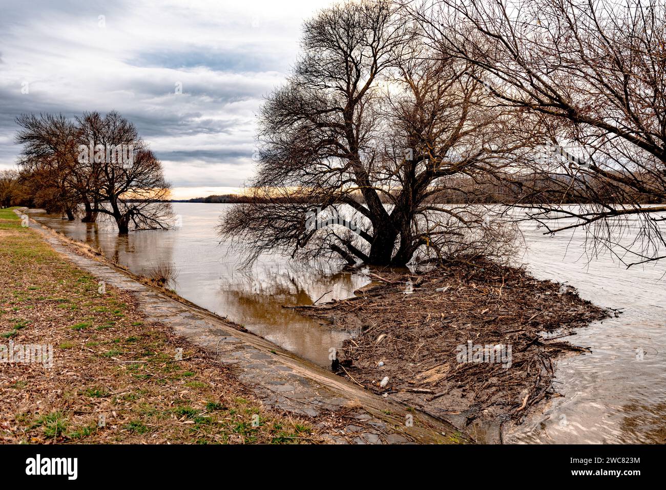 Plastic waste, solid waste, wood chips in the river, canal, along the ...