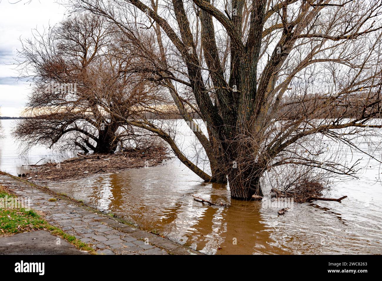 Plastic waste, solid waste, wood chips in the river, canal, along the ...