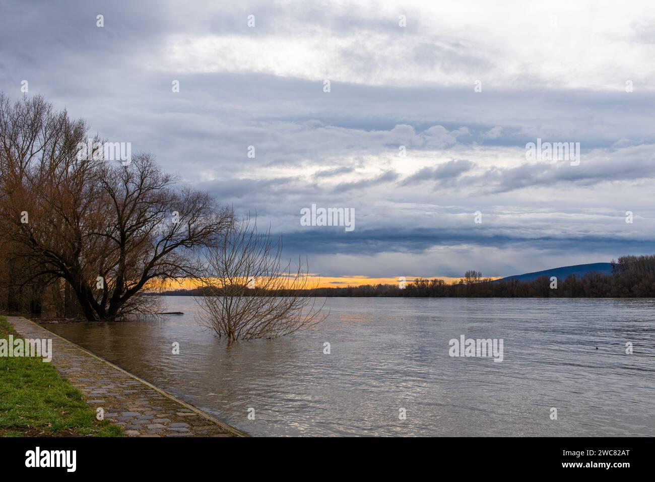 Landscape. Sunset. high water level in the river during a flood. trees ...