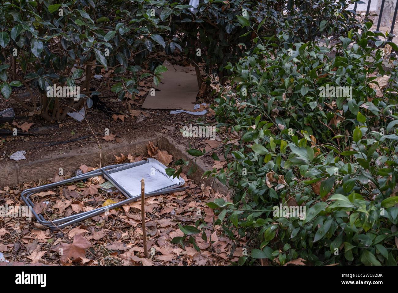 Barcelona, Catalonia, Spain. 14th Jan, 2024. A natural vegetal cave ...