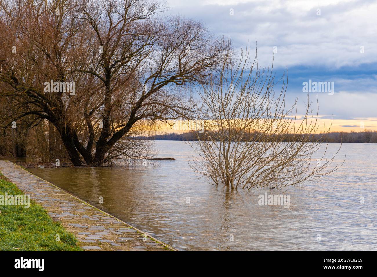 Landscape. Sunset. high water level in the river during a flood. trees ...