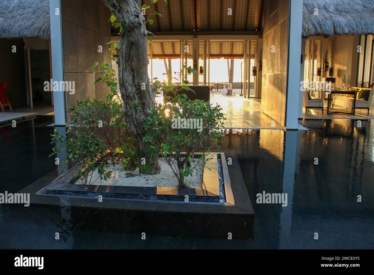 Modern architecture with shadow and light contrast Stock Photo - Alamy