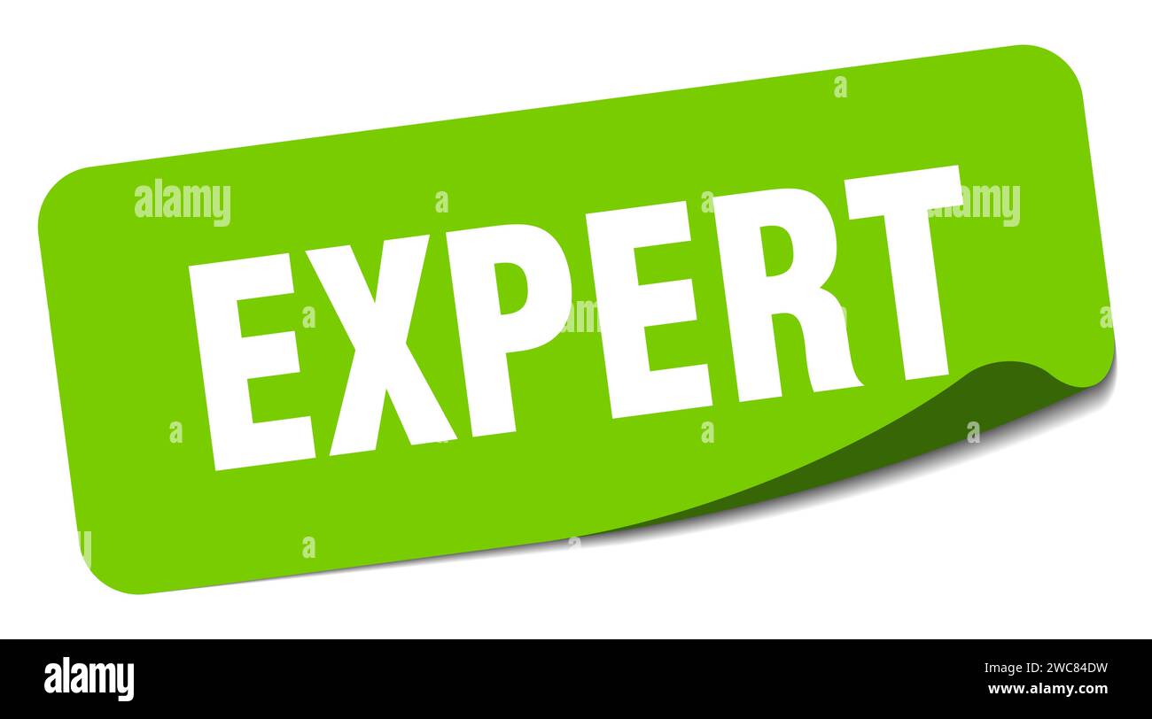 expert sticker. expert rectangular label isolated on white background ...