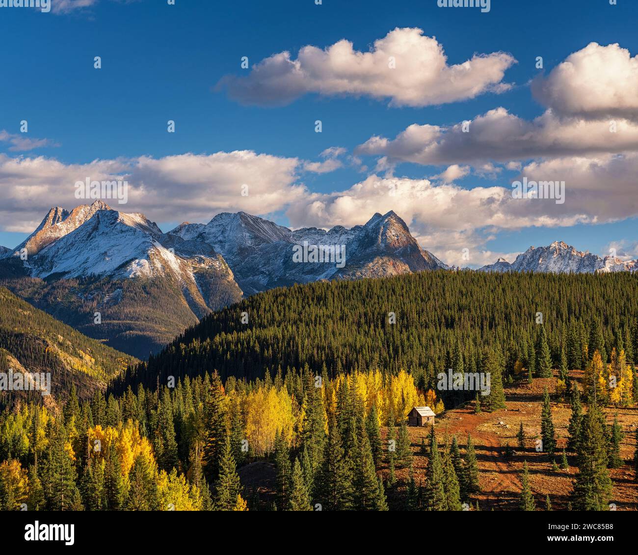 Mining shack nestled in aspens and pine forest beneath snow-covered ...
