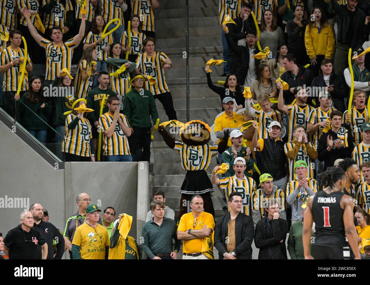 Waco, Texas, USA. 13th Jan, 2024. Baylor Bears mascot and fans during ...