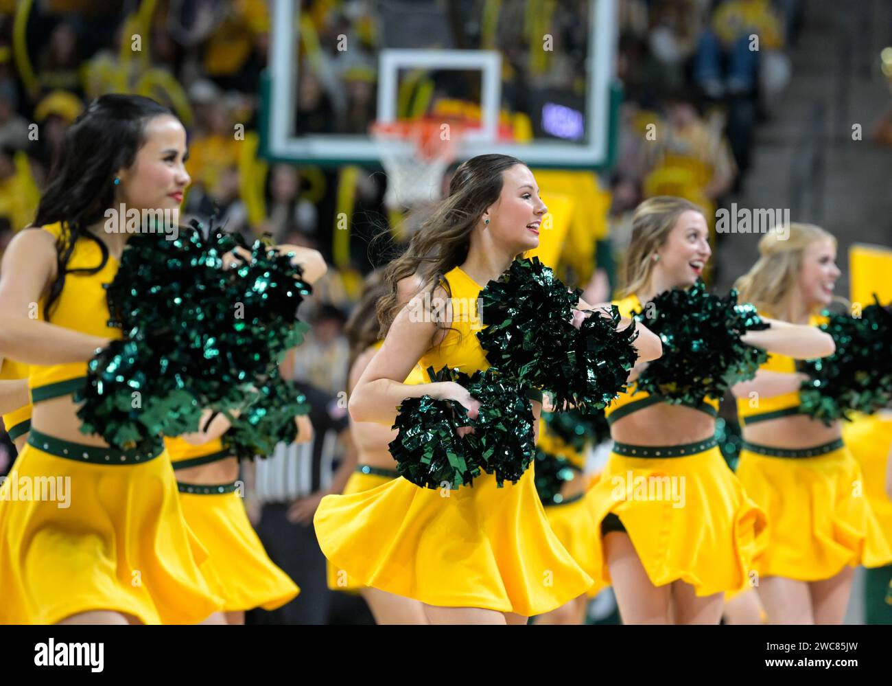 Waco, Texas, USA. 13th Jan, 2024. Baylor Bears cheerleaders perform ...