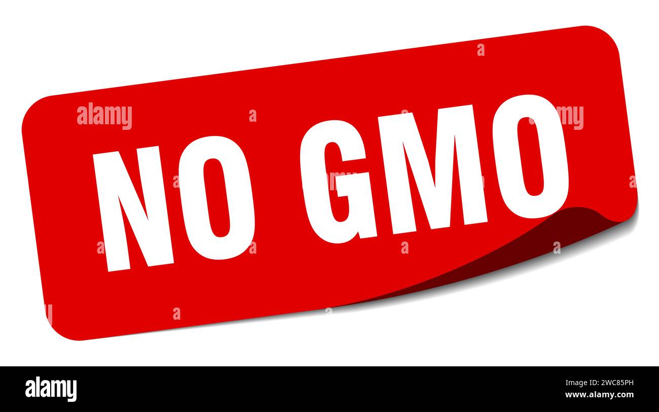 no gmo sticker. no gmo rectangular label isolated on white background ...