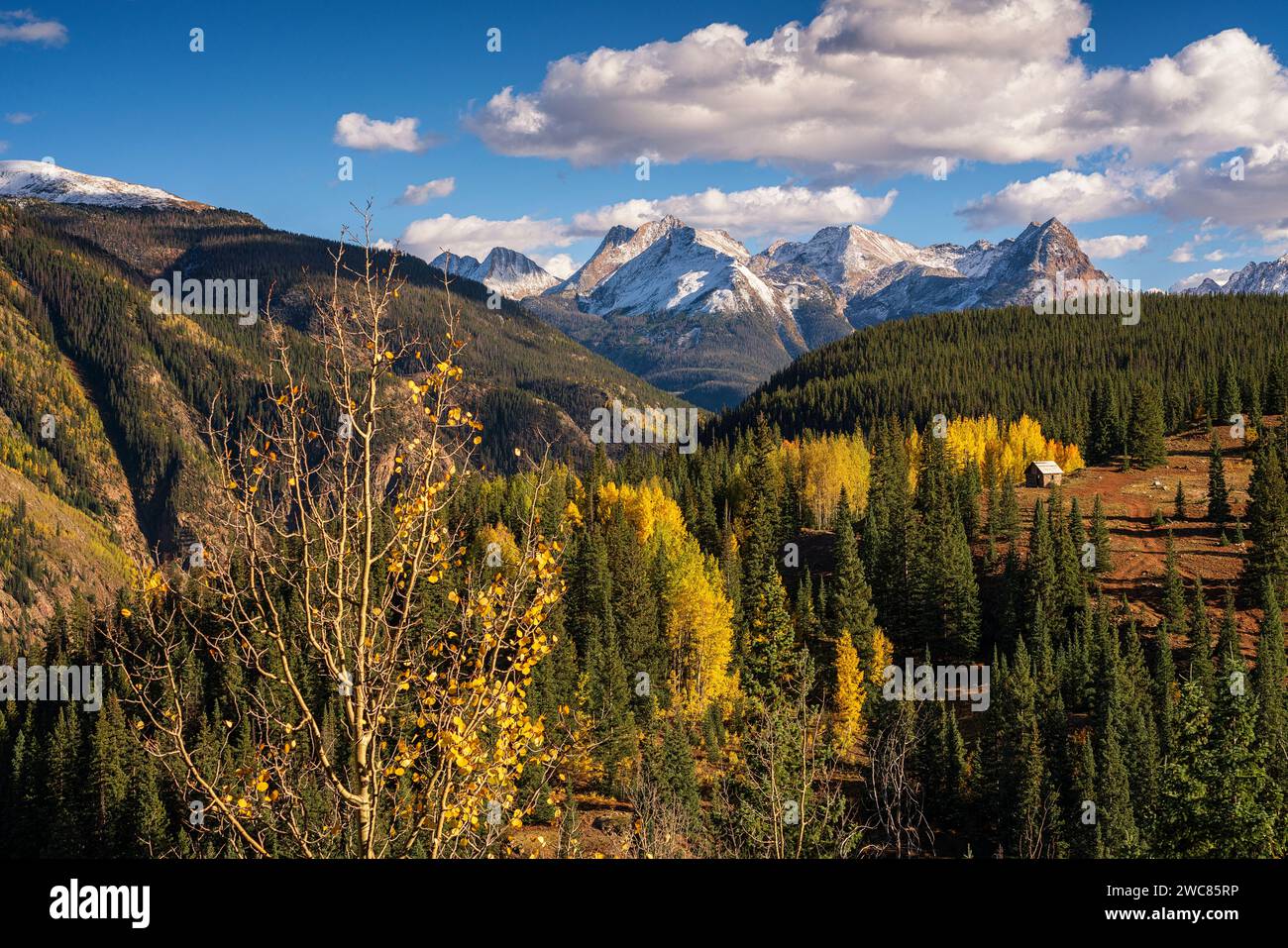 Mining shack nestled in aspens and pine forest beneath snow-covered ...