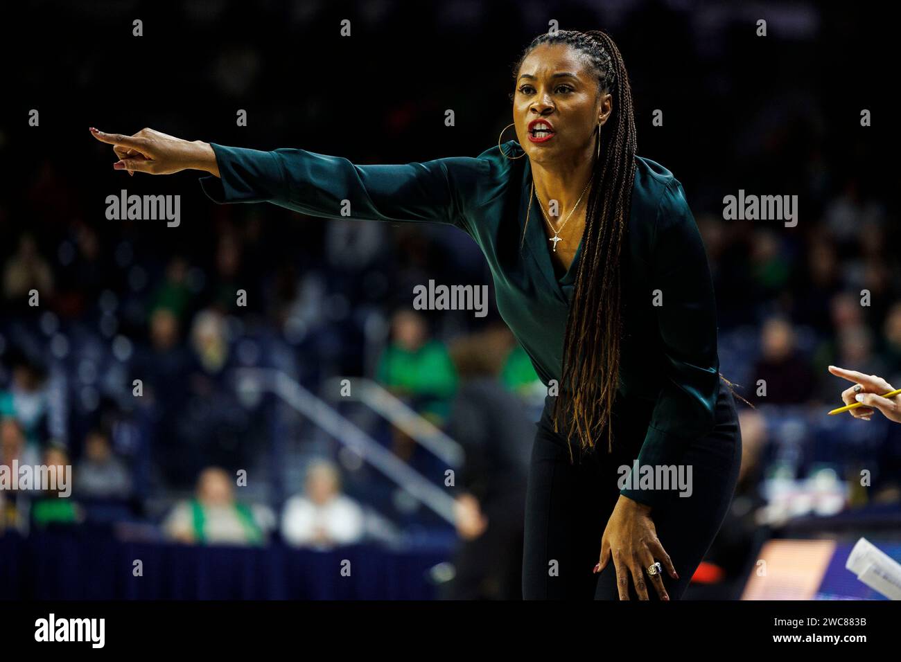 Niele ivey hi-res stock photography and images - Alamy