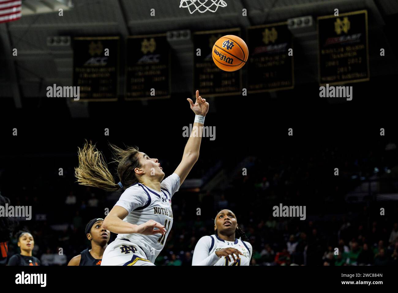 2024 0181 jpg hi-res stock photography and images - Alamy