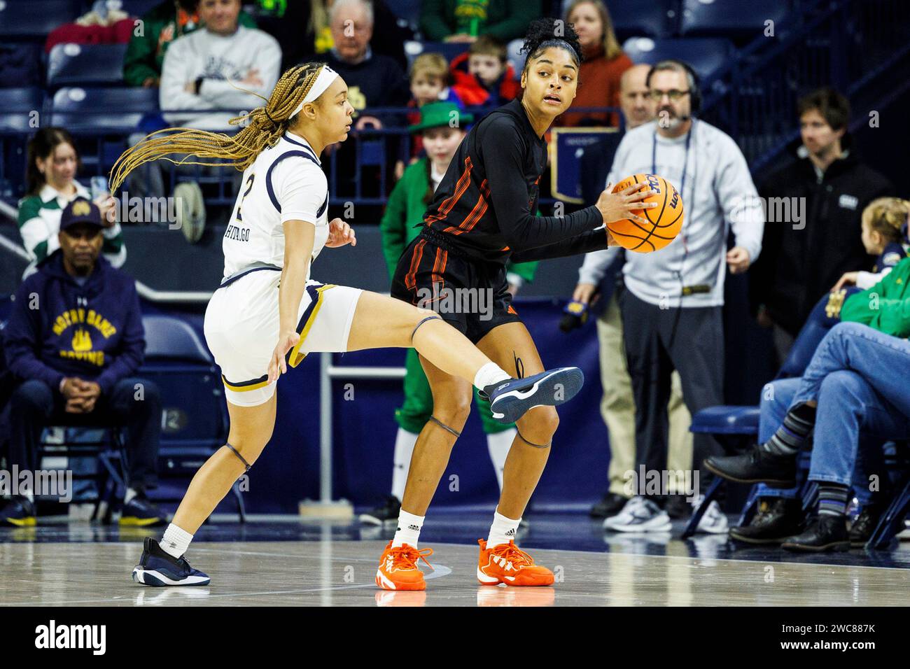 2024 0198 jpg hi-res stock photography and images - Alamy