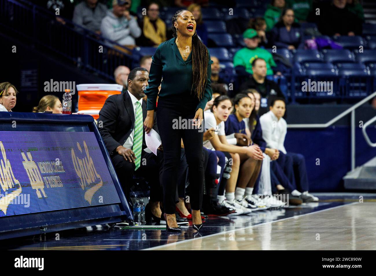 January 14, 2024: Notre Dame head coach Niele Ivey during NCAA Women's ...