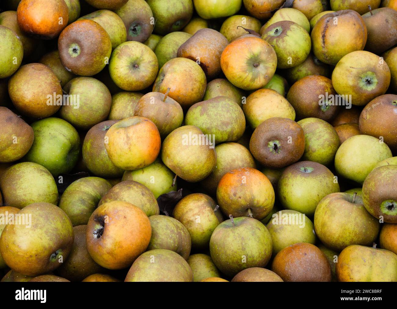 Bin of apples hi-res stock photography and images - Alamy