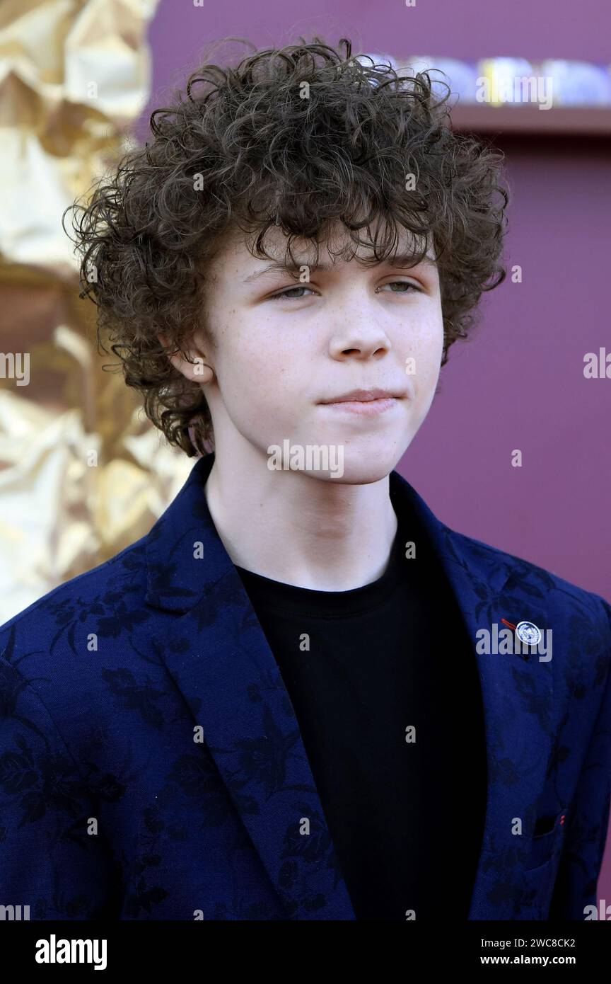 Wonka Los Angeles Premiere at the Village Theater on December 9, 2023 ...