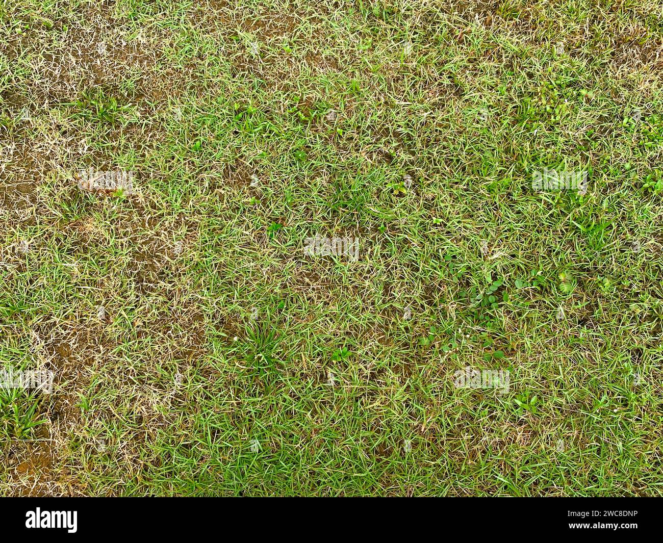 Backdrop summer hi-res stock photography and images - Alamy