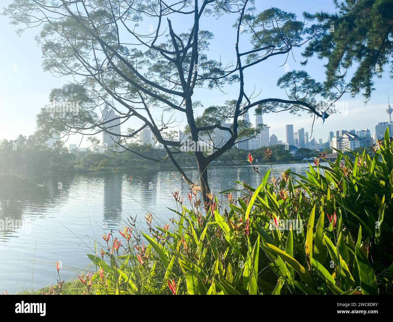 Taman Tasik Titiwangsa captures the essence of summer in Southeast Asia ...