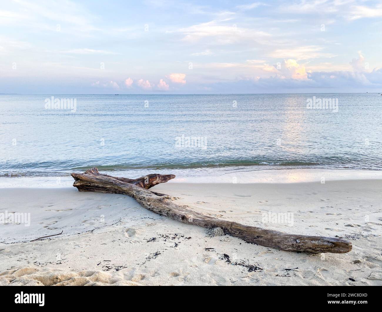 The horizon stretches endlessly, framing a paradise bay where waves ...