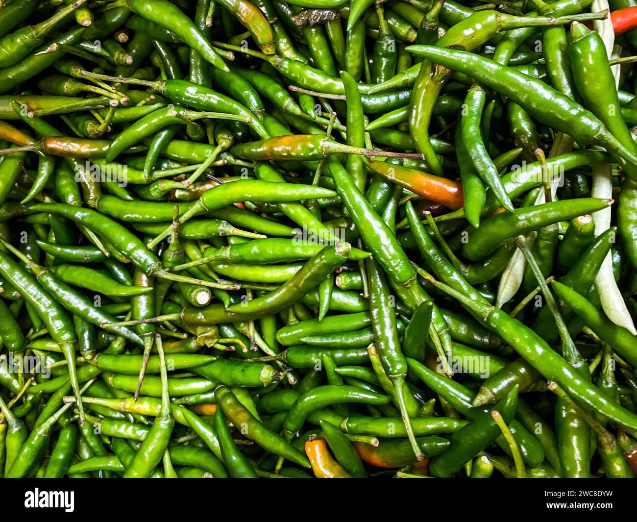 Backdrop of green chilli peppers texture background. Close up view with ...