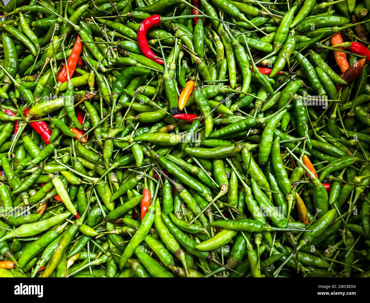 Backdrop of green chilli peppers texture background. Close up view with ...