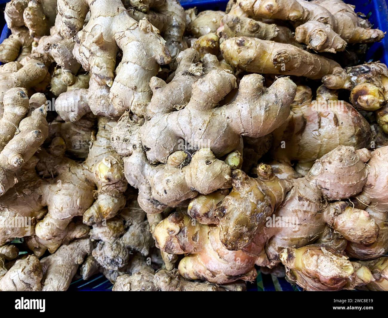 Fresh ginger root texture background Stock Photo - Alamy