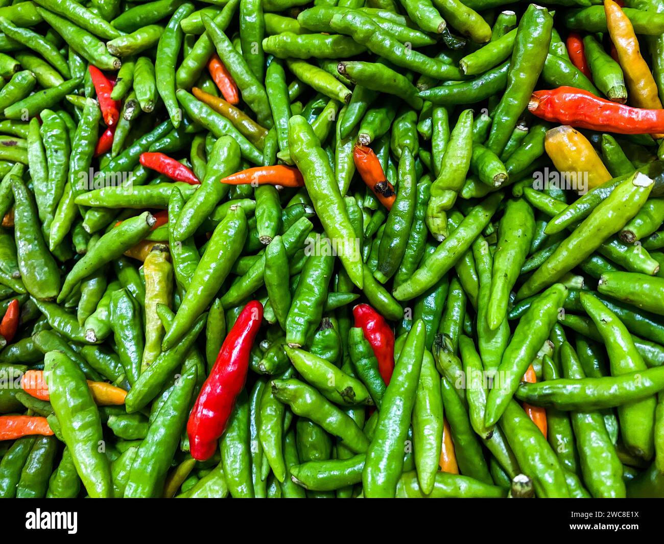 Backdrop of green chilli peppers texture background. Close up view with ...