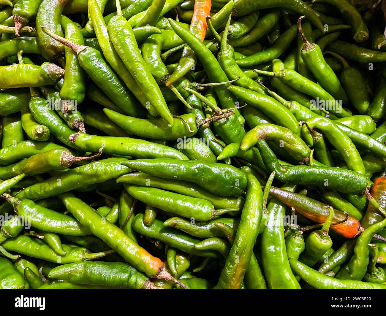 Backdrop of green chilli peppers texture background. Close up view with ...