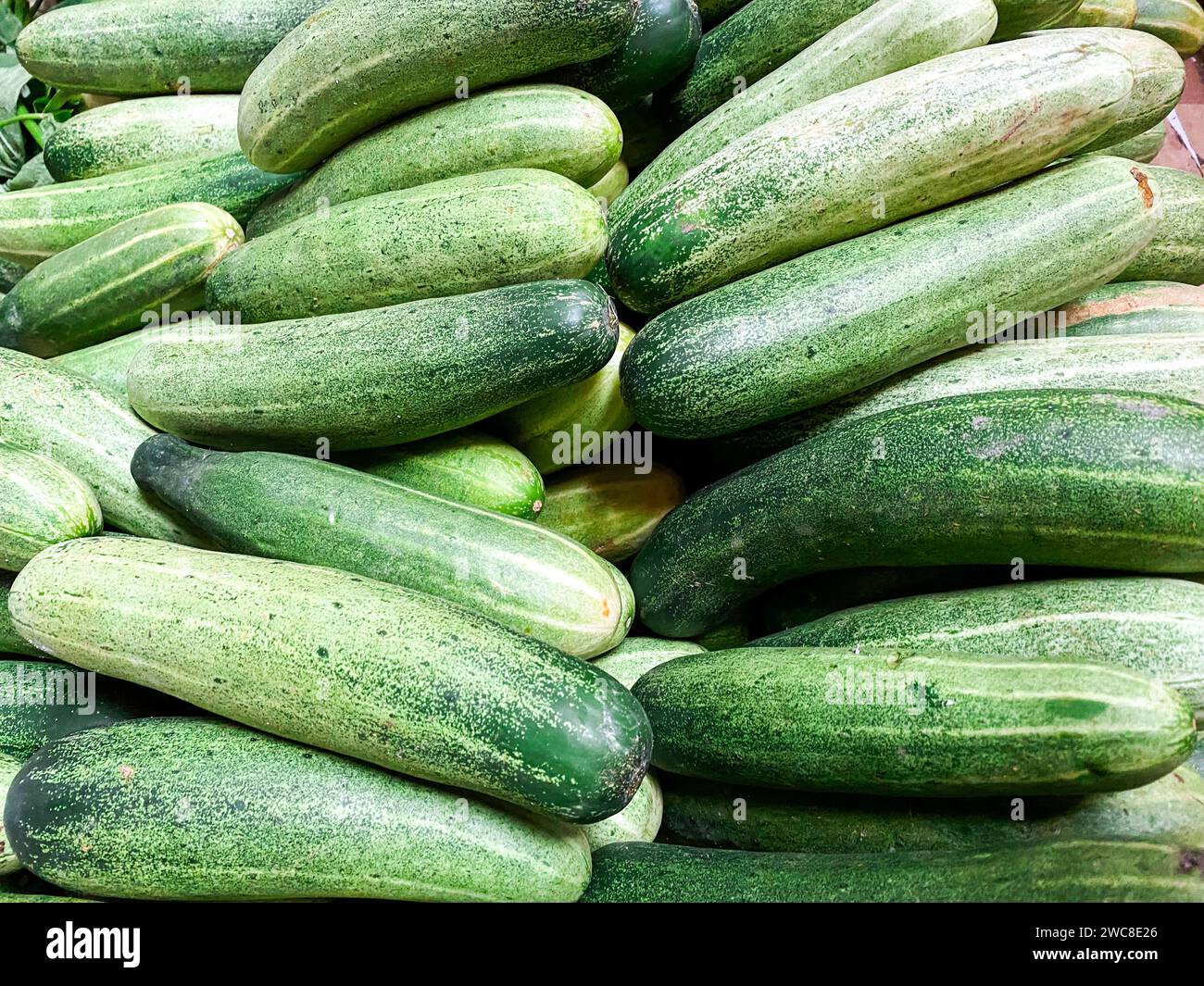 Top view cucumbers, long cucumbers, vegetables harvest, food background ...