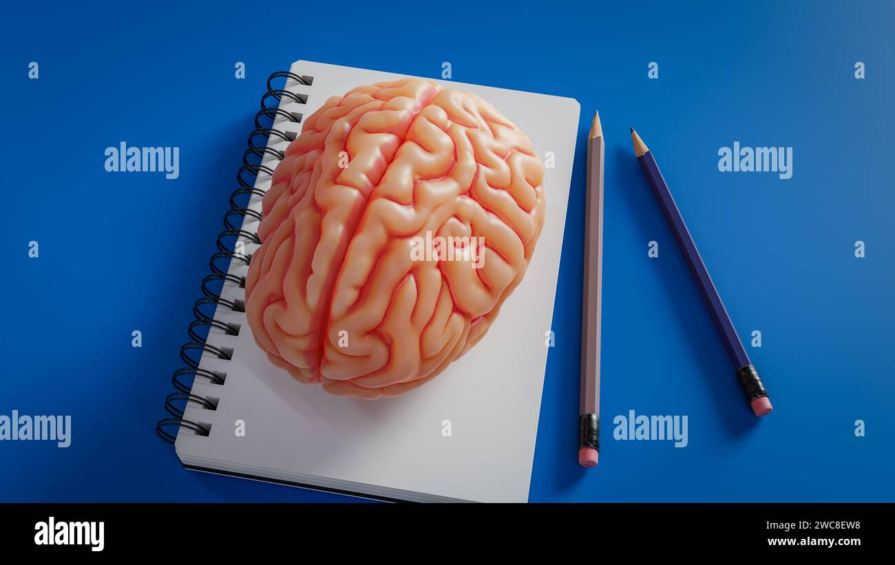 Concept background related to improving brain memory,3d rendering Stock ...