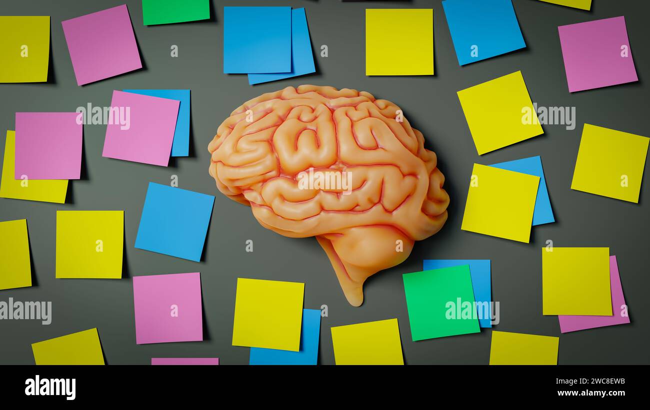 Concept background related to improving brain memory,3d rendering Stock ...