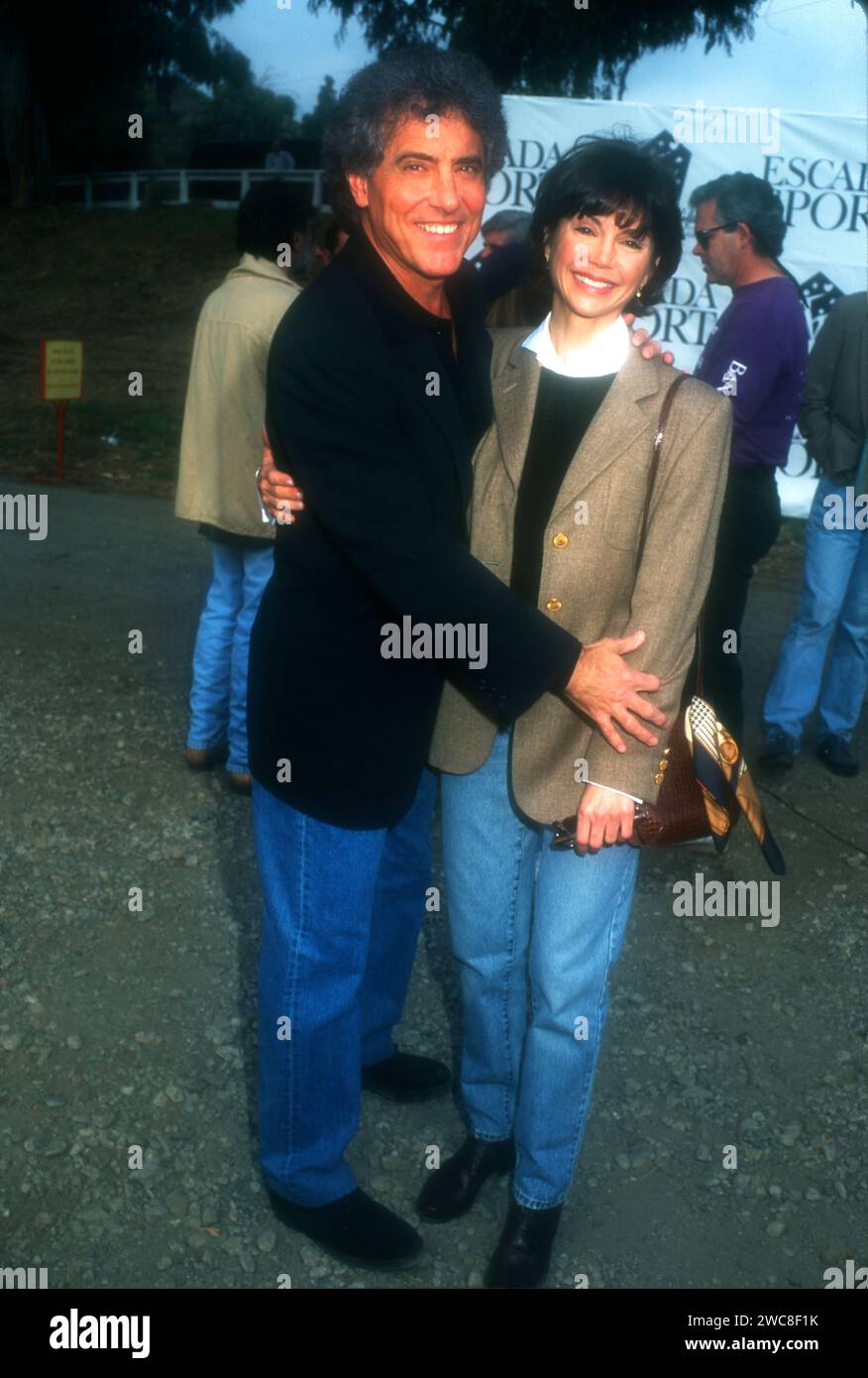Pacific Palisades, California, USA 17th November 1996 Dr. Harry ...