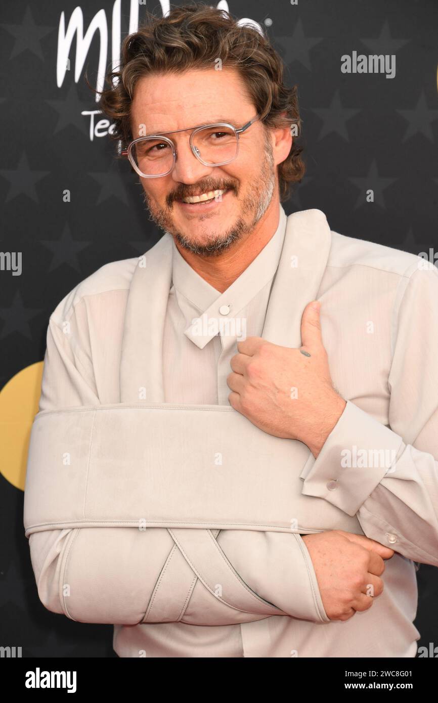Santa Monica, Ca. 14th Jan, 2024. Pedro Pascal at the 29th Annual ...