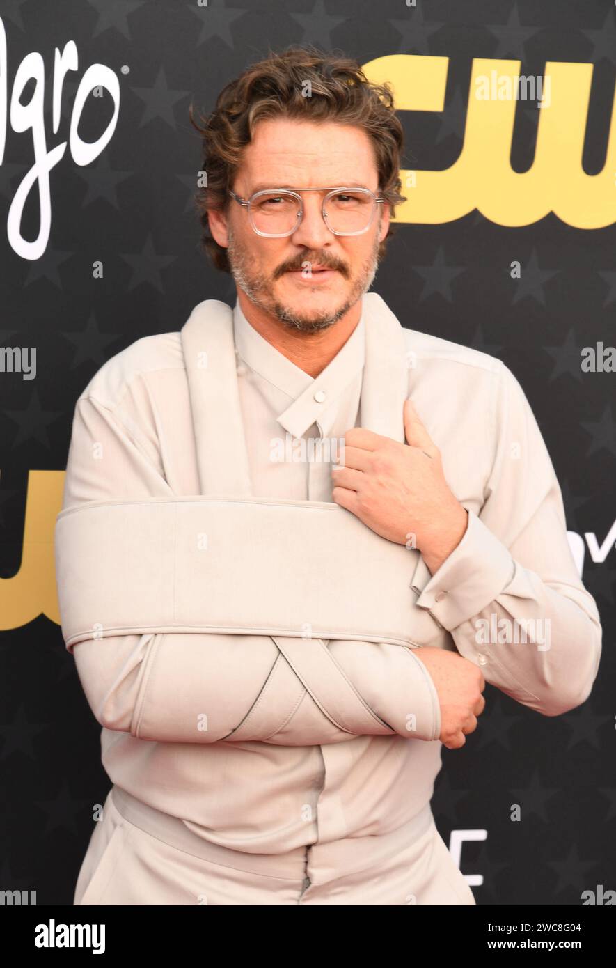Santa Monica, Ca. 14th Jan, 2024. Pedro Pascal at the 29th Annual ...