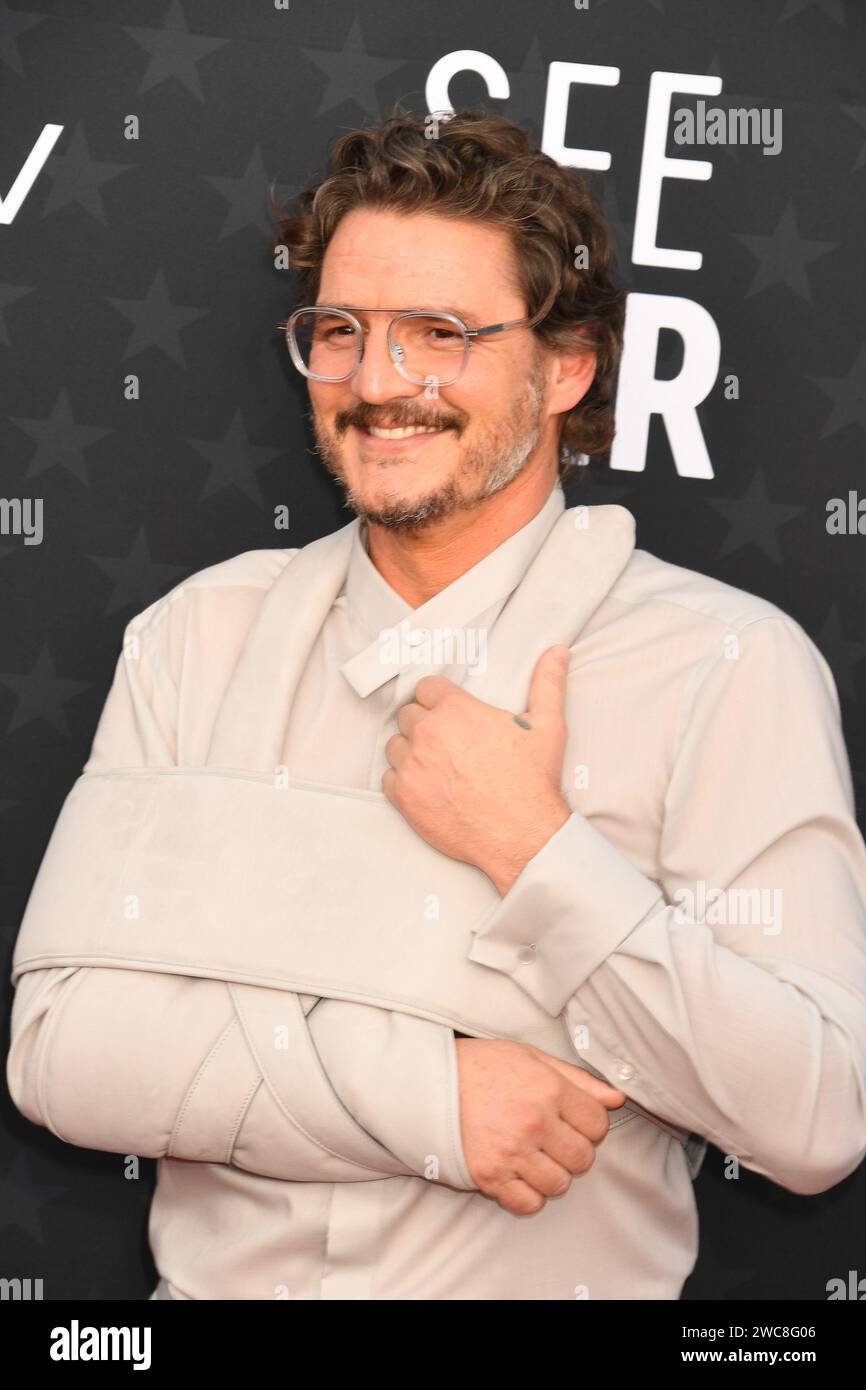 Santa Monica, Ca. 14th Jan, 2024. Pedro Pascal at the 29th Annual ...