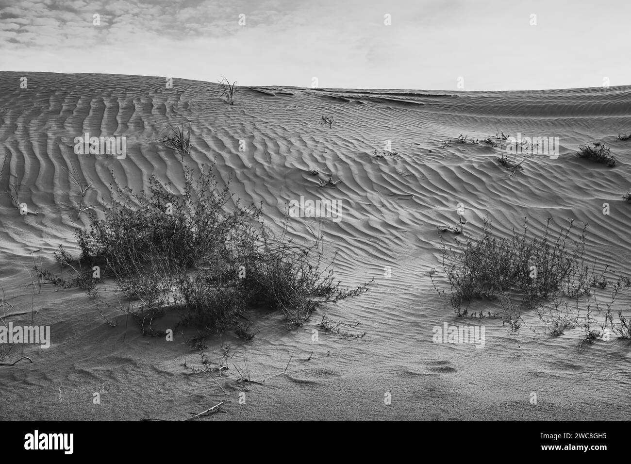 Tengri Desert in the Inner Mongolia Autonomous Region in China. Sunset ...