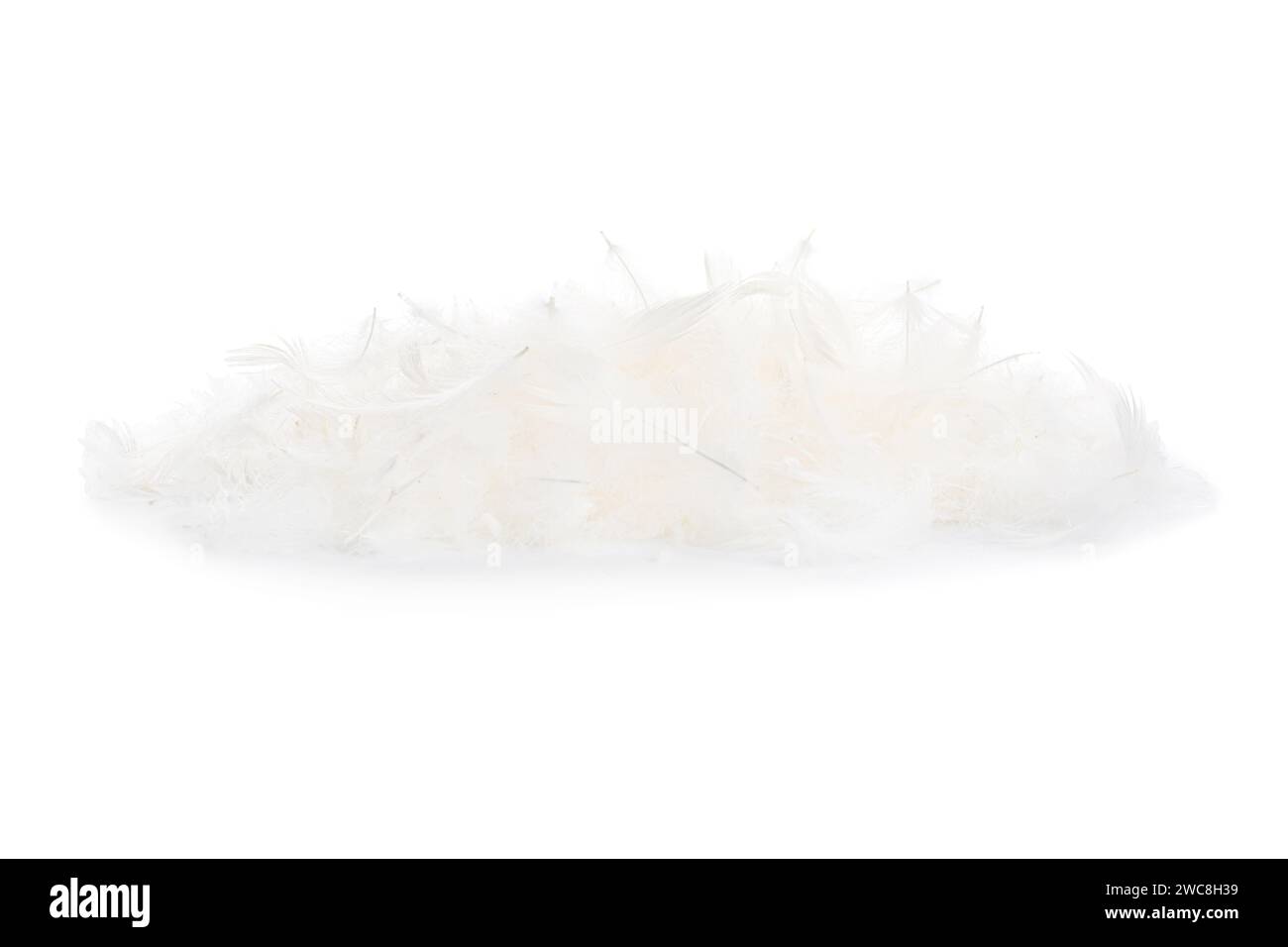 Pile fly Cut Out Stock Images & Pictures - Alamy