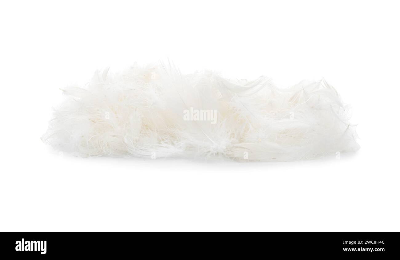 Pile of soft feathers hi-res stock photography and images - Alamy
