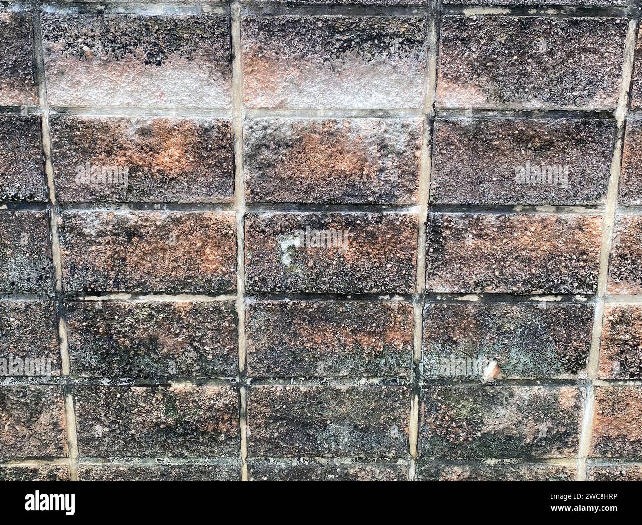 A minimalist yet impactful concrete texture background for modern ...