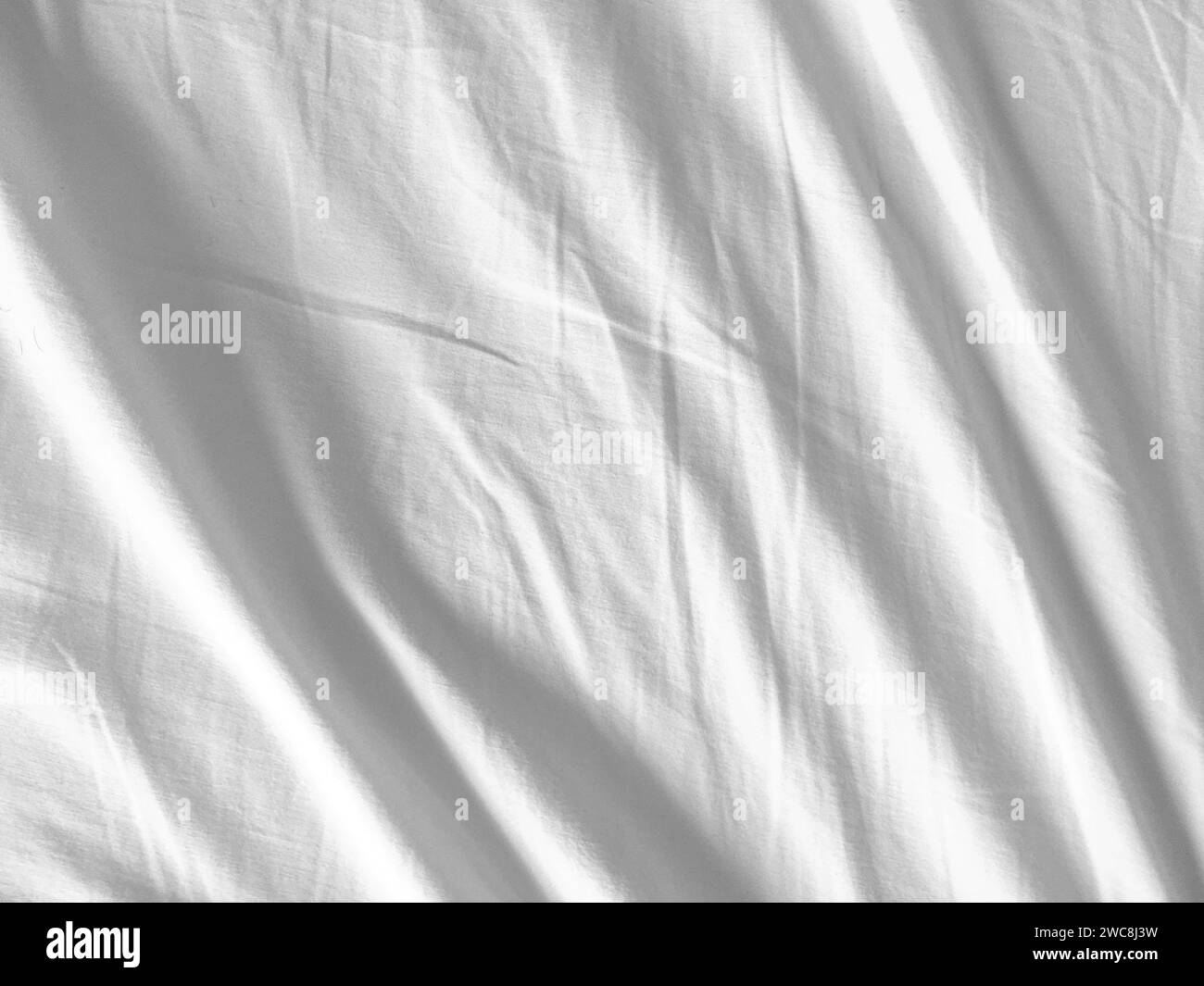 This image captures the essence of softness and purity with its white ...