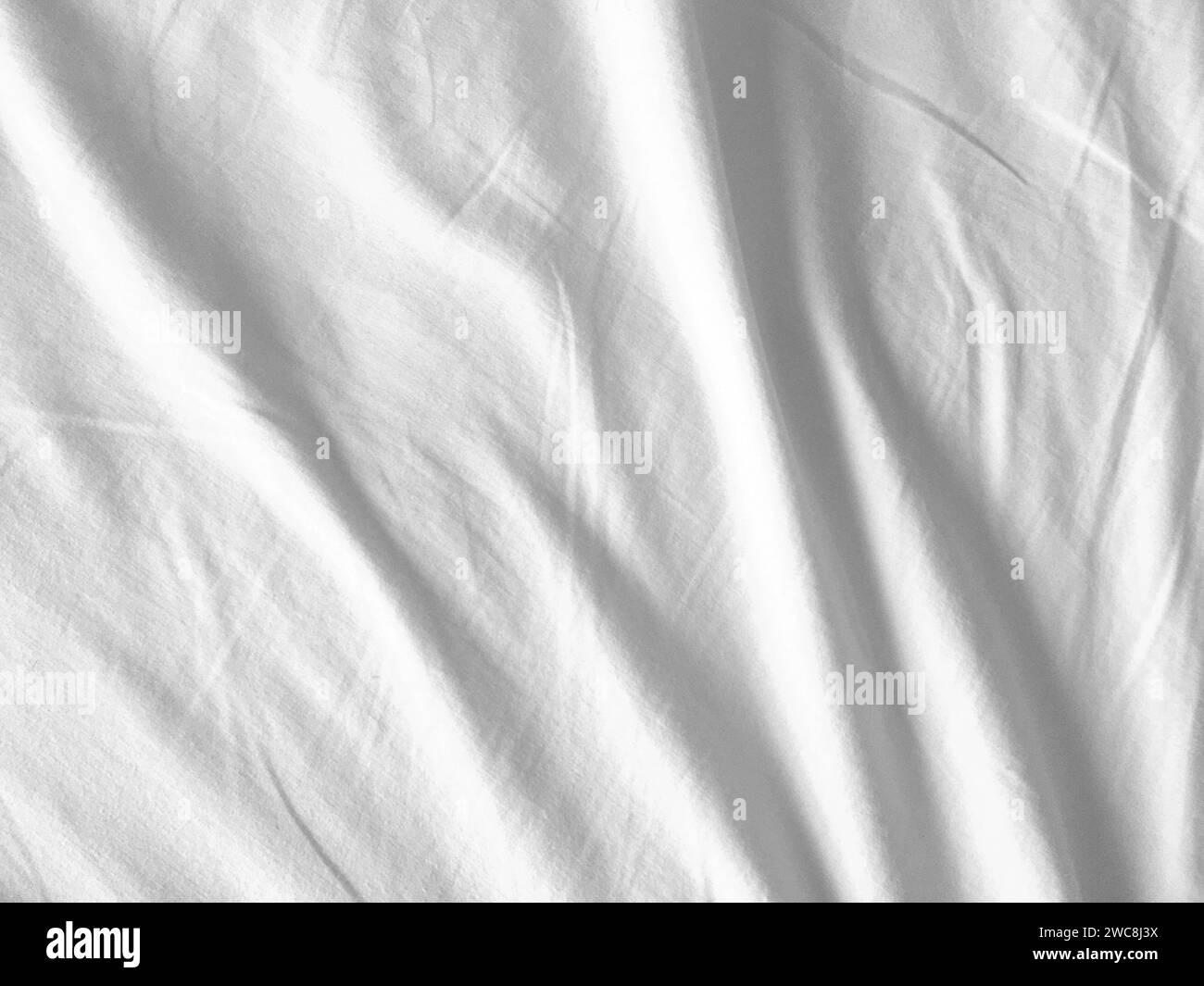 This image captures the essence of softness and purity with its white ...