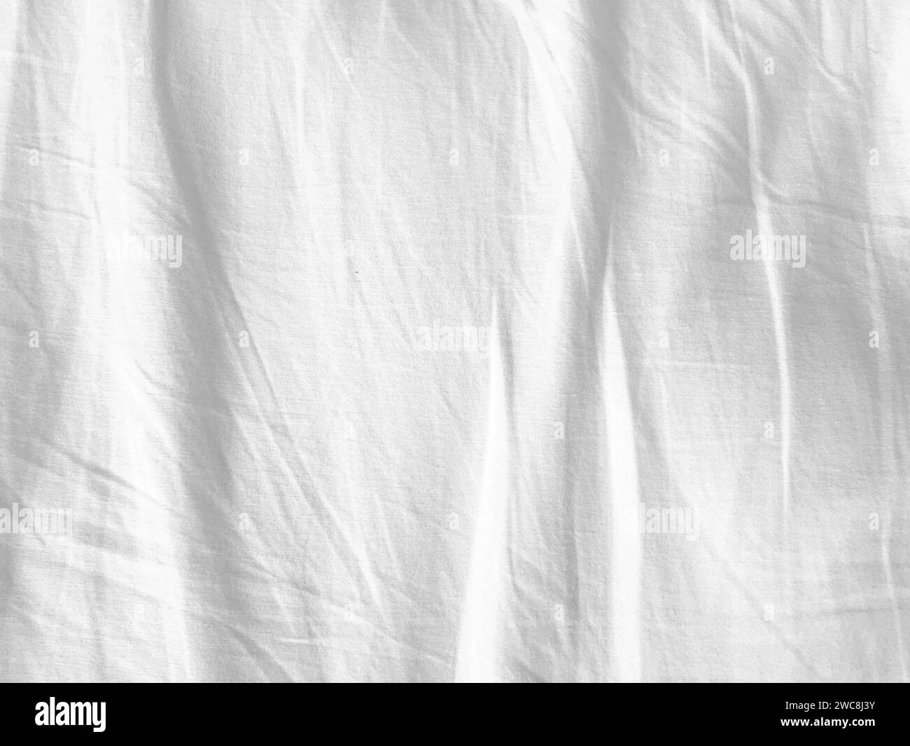 This image captures the essence of softness and purity with its white ...