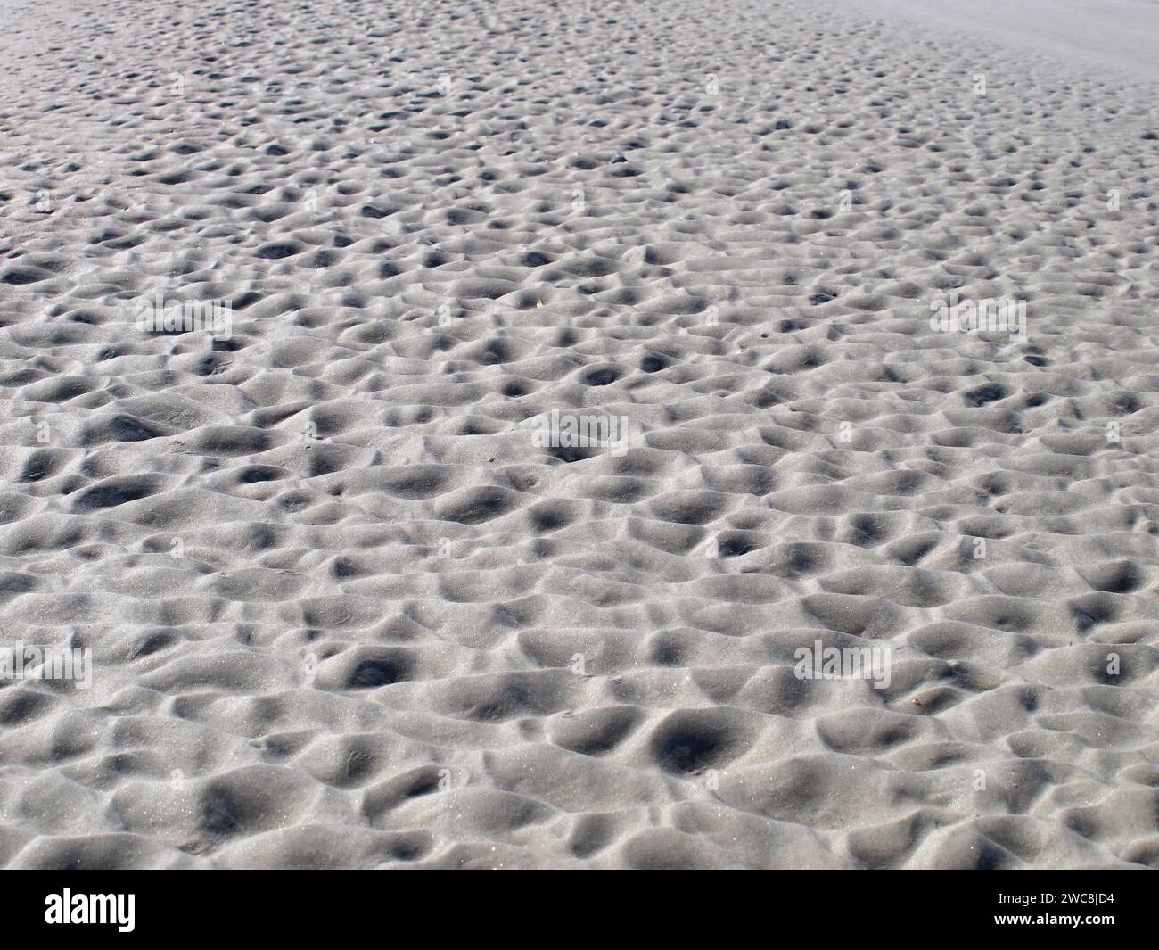 Sand texture in a tropical beach with the low tide. Organic background ...