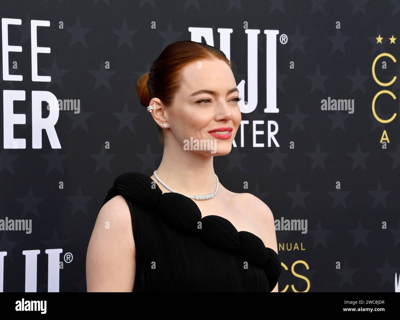 Los Angeles, United States. 14th Jan, 2024. Emma Stone attends the 29th ...
