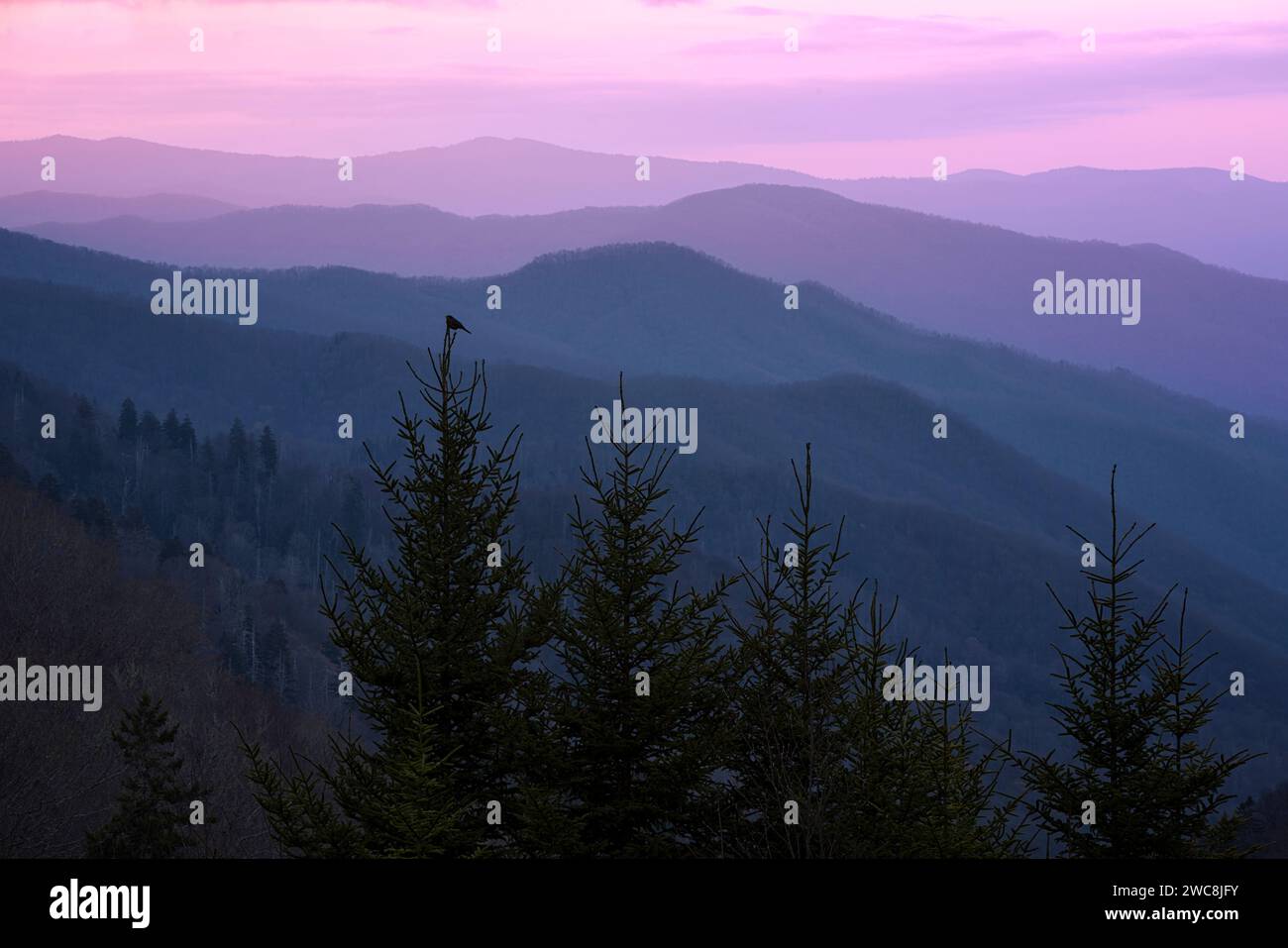 Luftee overlook hi-res stock photography and images - Alamy