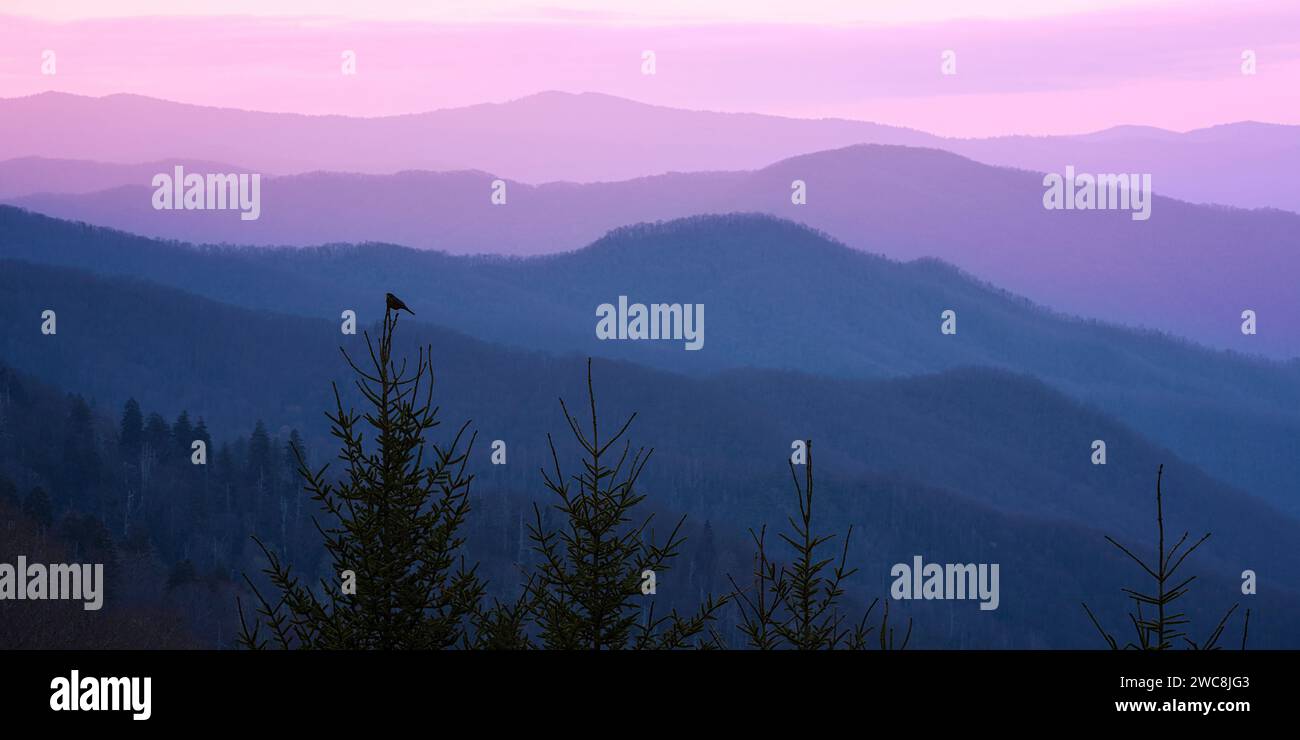 Luftee hi-res stock photography and images - Alamy